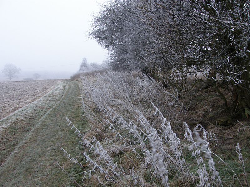 frosty-fields | Tales from the Wood - The Diary of a Badger Watching Man